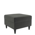DHP Cooper Small Ottoman with Storage, Gray Velvet - Walmart.com