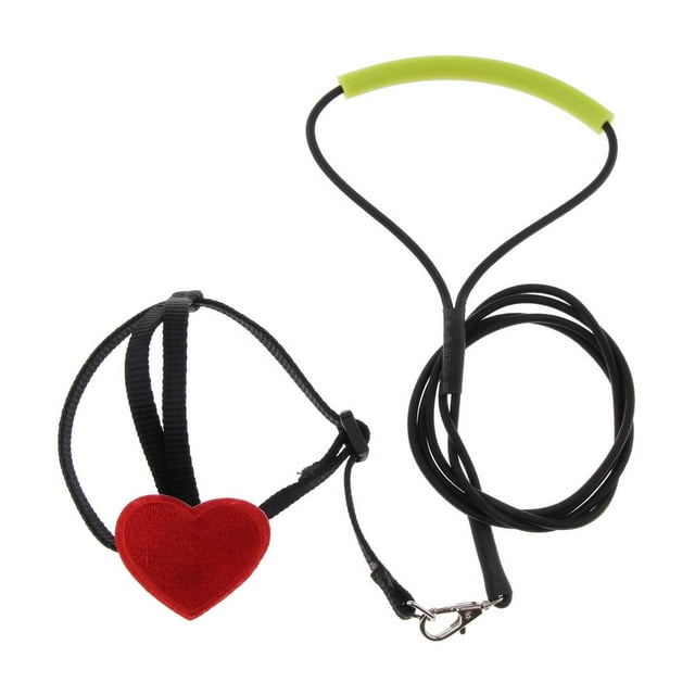 Adjustable Bird Harness And Leash for Birds, Parrots, Budgies ...