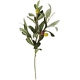 Artificial Olive Branch Cylindrical Plastic Green With Small Decorative ...