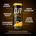Hydroxycut CUT Energy Plus Weight Loss Sparkling Drink, Orange Mango ...
