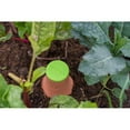 GrowOya Clay Planter - Walmart.com