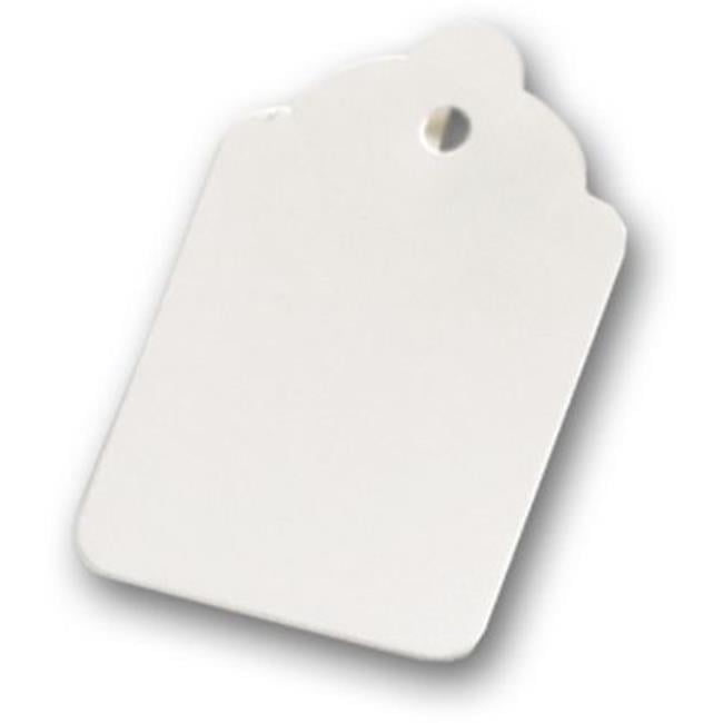 Deluxe Small Business Sales 10-221-9 White Tag, 2.88 x 1.75 in ...
