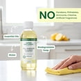 Brand All-Purpose Cleaning Concentrate | 8 oz Dilutes to 128 oz | Lemon ...