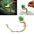 Clear Spiders Habitat Terrarium With Wooden Pool Spiders Habitat Box ...