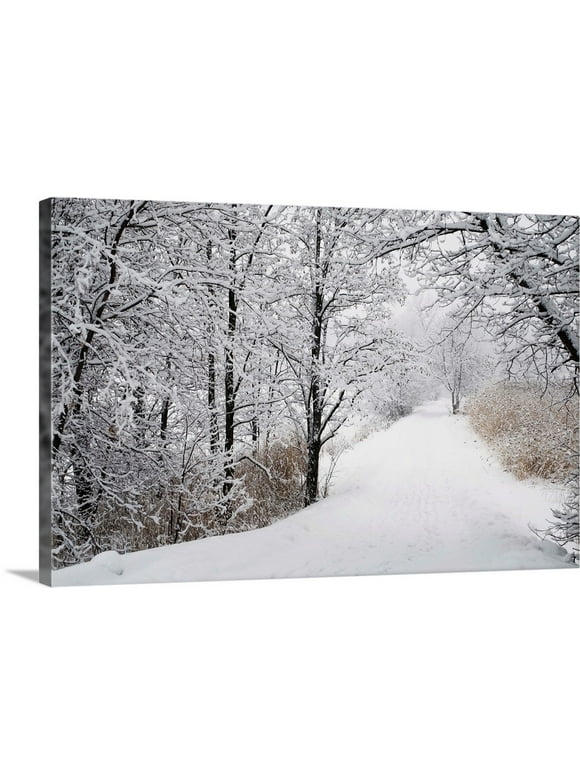 Great BIG Canvas Wall Art in Decor - Walmart.com