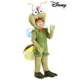 Toddler Deluxe Disney Princess and the Frog Ray Costume - Walmart.com