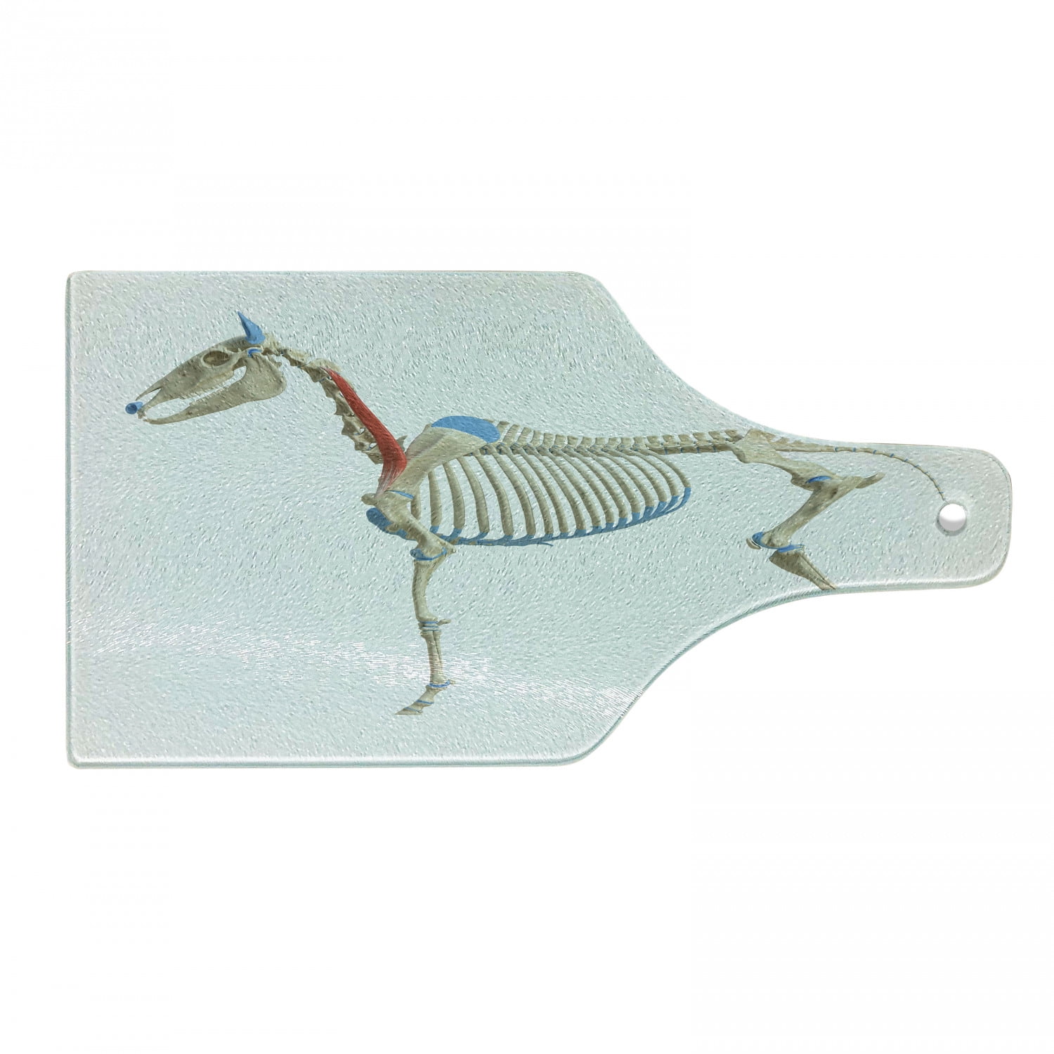 Bones Cutting Board, Scientific Side Image of an Equine Skeletal ...