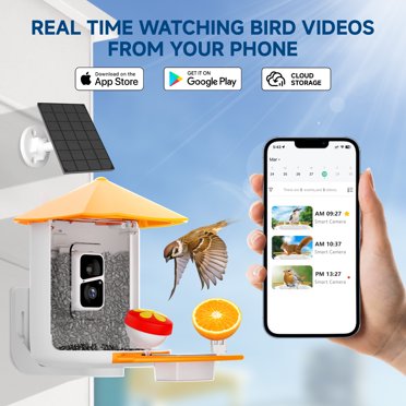 Birddock Digital Outdoor Hummingbird Feeder with AI Camera and SD Card ...
