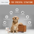 Chew + Heal Dog Calming Treats - 60 Soft Chews, Anxiety Supplement with ...