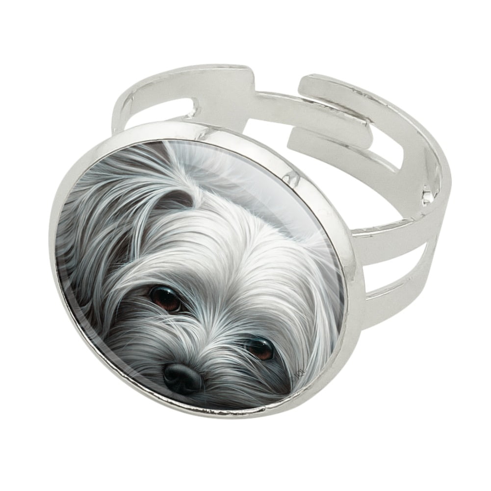 Silver Yorkie Terrier