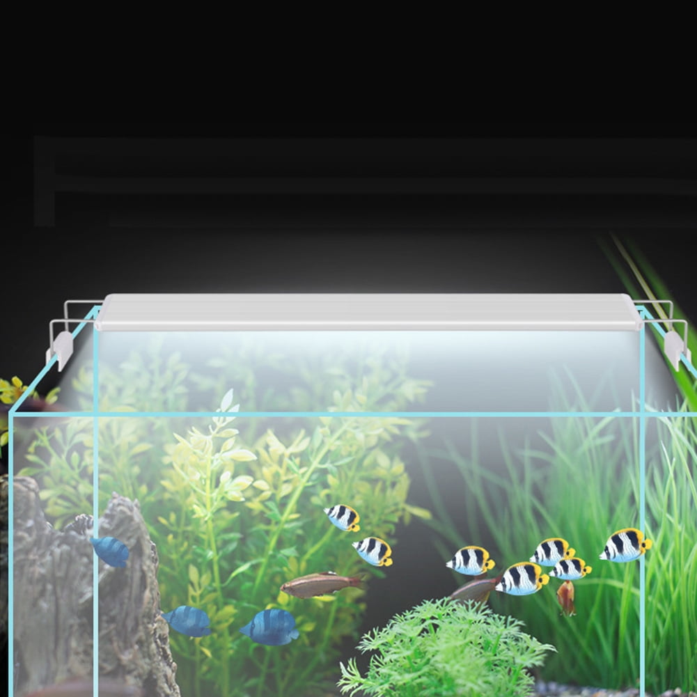 Buy ZIG Super Slim LED Aquatic Plants Lamp Support Extensible Aquarium ...
