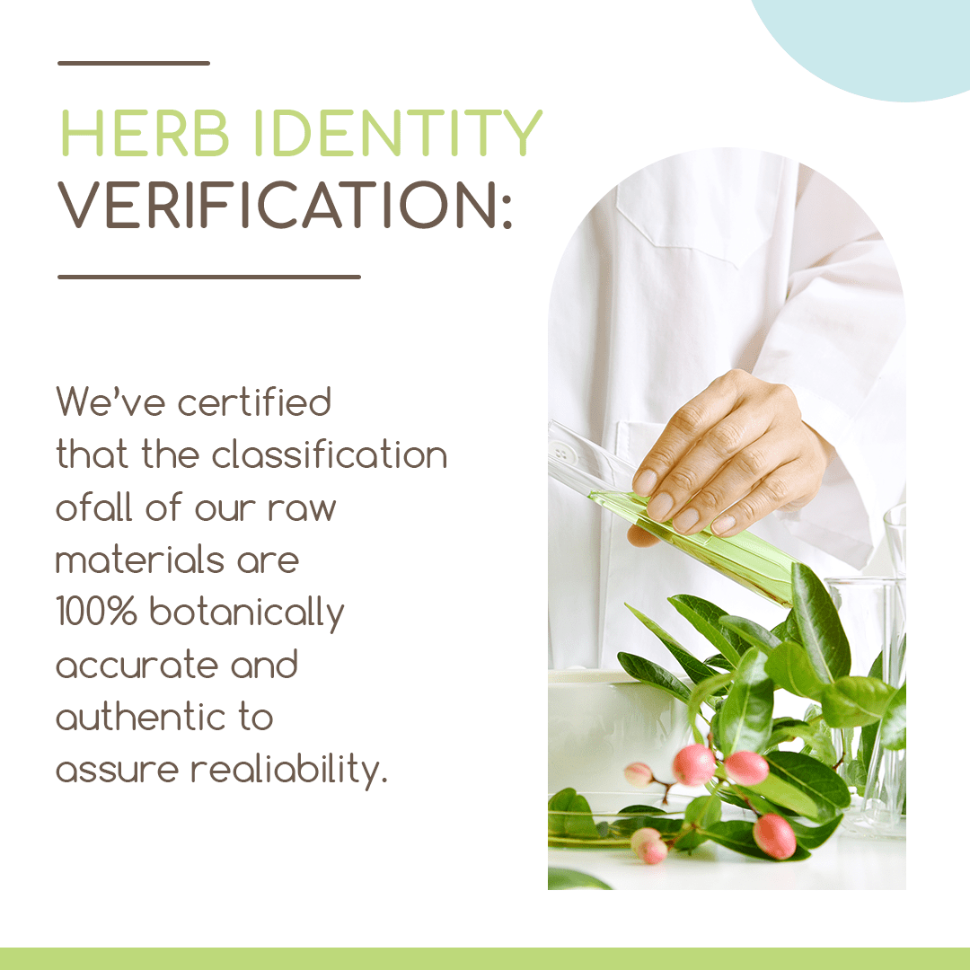 Buy Huai Hua Mi Alcohol-FREE Herbal Extract Tincture, Super ...