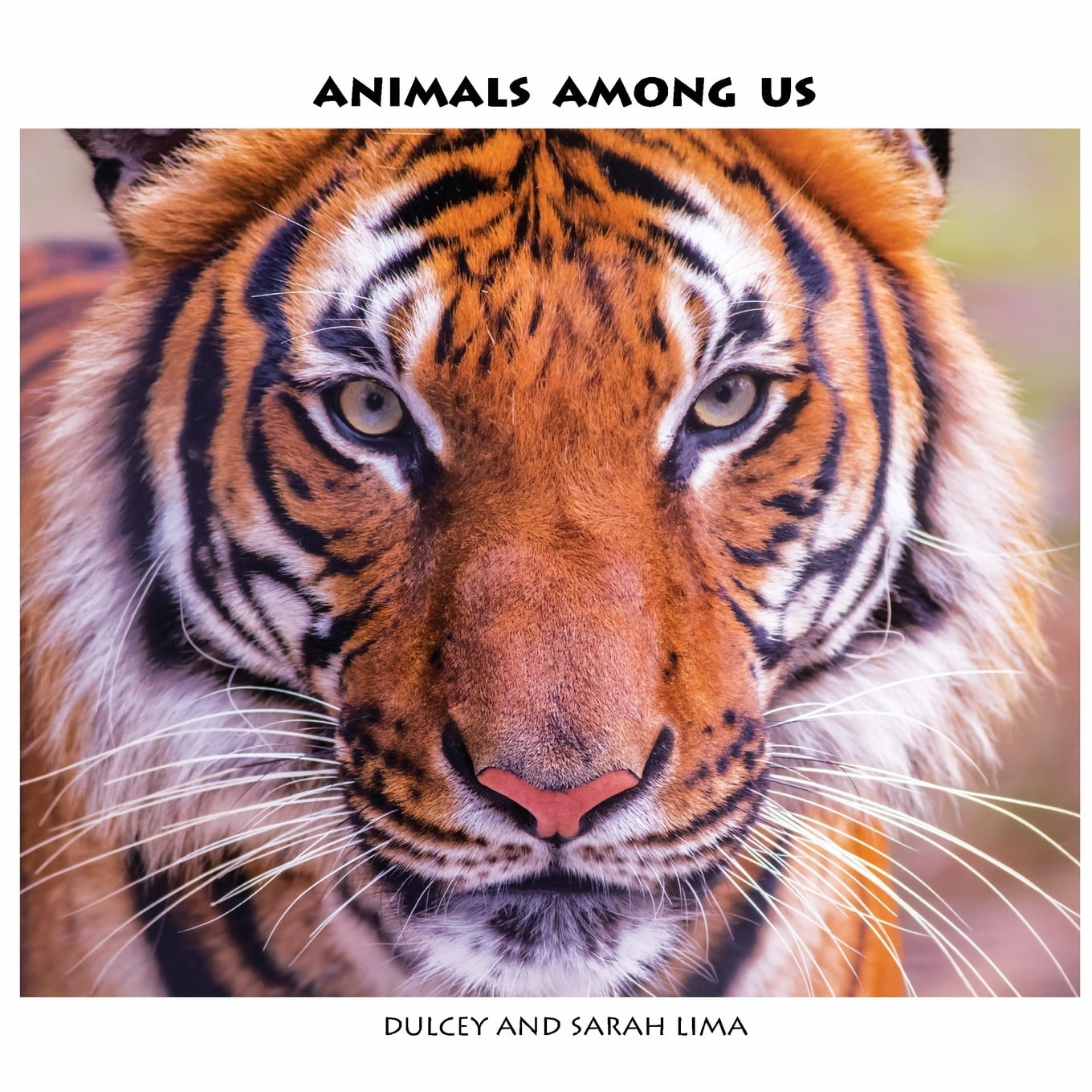 Animals Among Us (Paperback) - Walmart.com