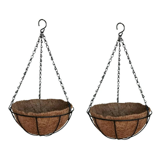 12 Inch Hanging Baskets Plants