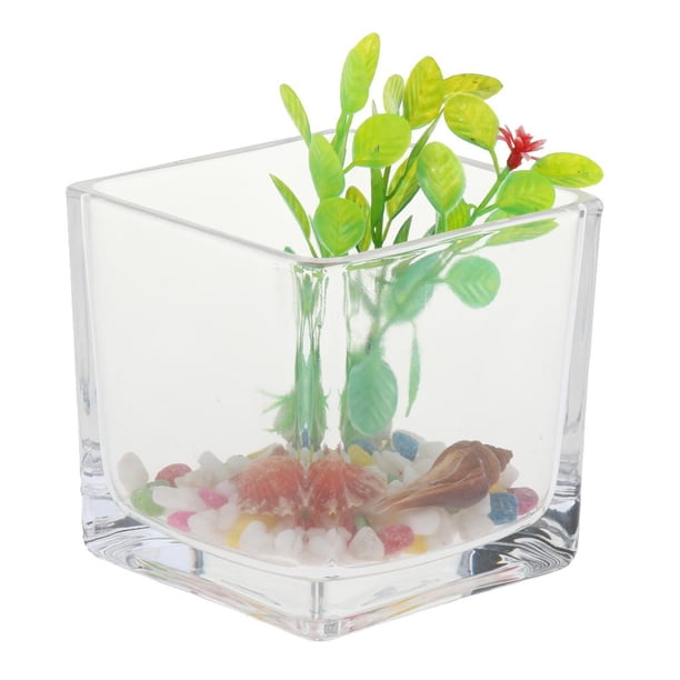 Square Transparent Crystal Glass Bowl Clear Plants Flower Vase Betta ...