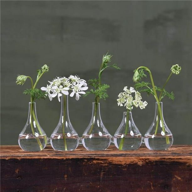 HomeRoots 384125 Quintuplet Joined Glass Posy Vases - Set of 5 ...