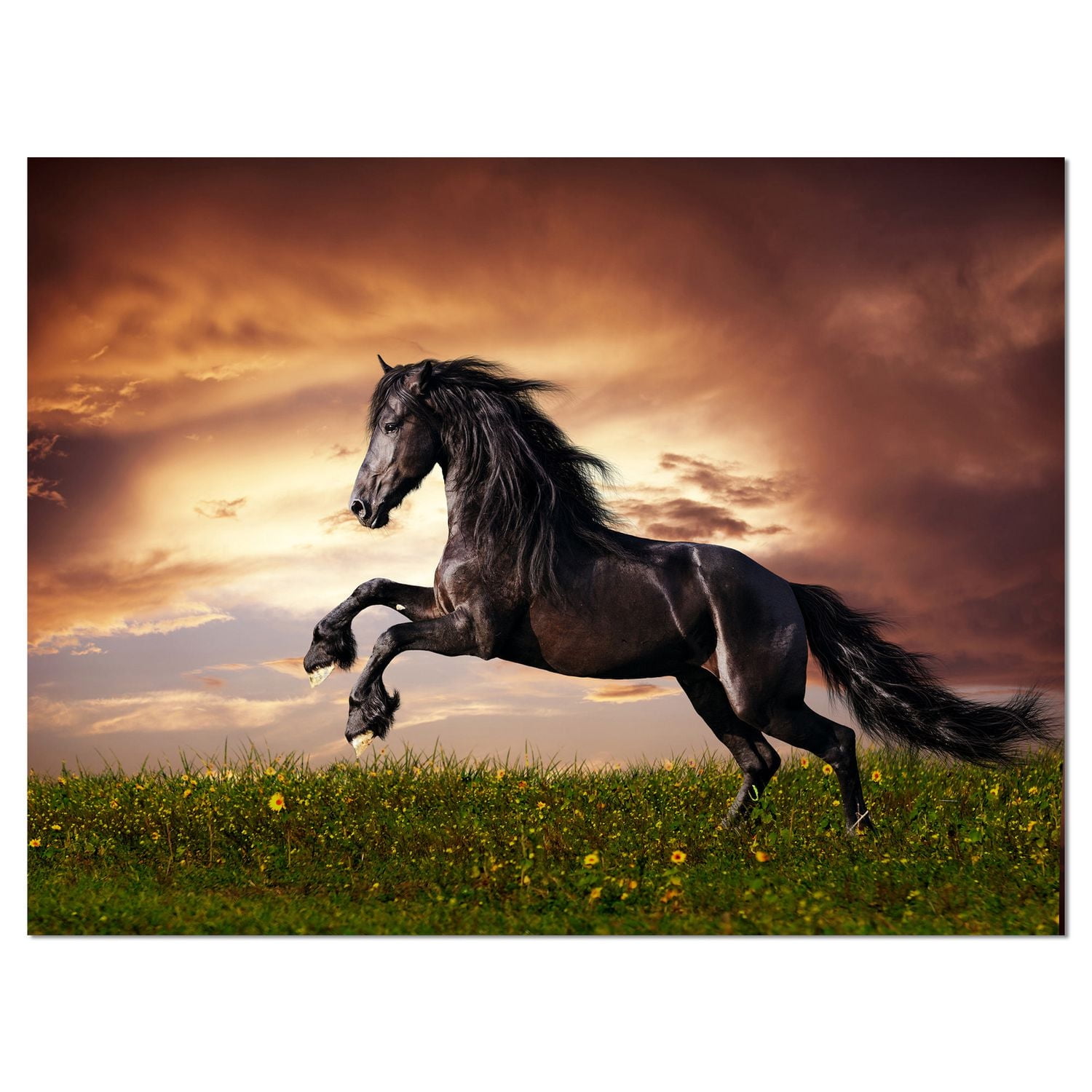 Click here for Designart Design Art Black Friesian Horse Gallop C... prices