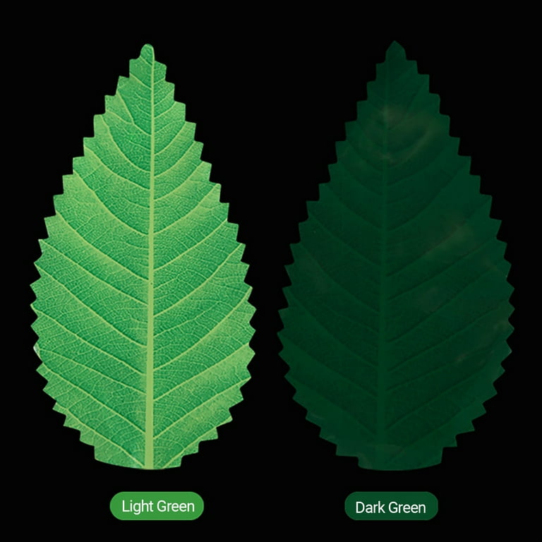 Sushi Bento Box Divider Decoration Color Grass Baran Set (3, 60% OFF