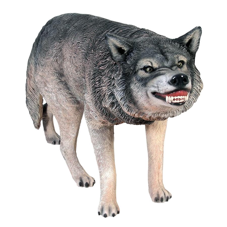 Design Toscano Call of the Wild: Growling Gray Wolf Statue - Walmart.com