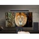 Deco Home 60W Soundbar with Subwoofer - Premium 2.1 Channel Audio ...