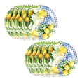 Yakvarog 10 Count Lemon Themed Birthday Party Plates, 9" Durable Heavy ...