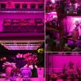 Somnr LED Grow Light Strip, Full Spectrum Auto on&off Every Day Grow ...