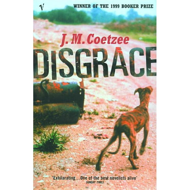 Disgrace (Paperback) - Walmart.com