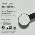 Creatine Monohydrate 500g | Digest - Walmart Business Supplies