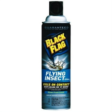 Black Flag Spider and Scorpion Killer 16 Ounces, Aerosol Insecticide ...