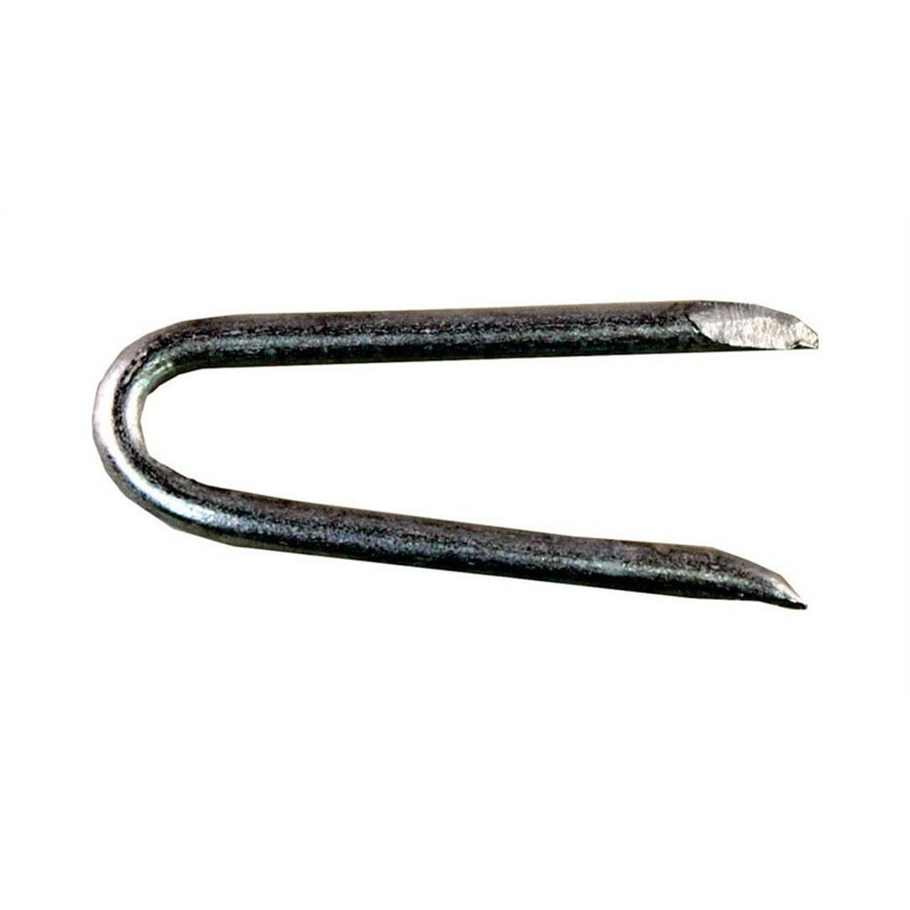 Pro-Fit 1-3/4 in. L Galvanized Steel Fence Staples 9 Ga. 1 lb ...