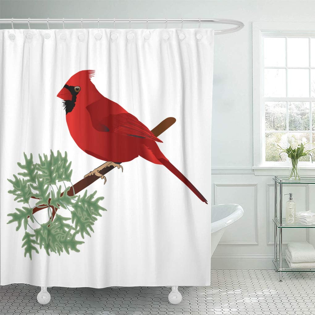 SUTTOM Red Beautiful Male Cardinal on Branch Birds Graphics Nature ...