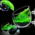 ACDANC Aquatic Plant Cup with 2 Suction Cups, 2 PCS Aquatic Plant Cups ...