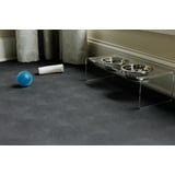G-Floor 8.5' x 22' Vinyl Levant Pet Friendly Carpet Protector for Dogs ...