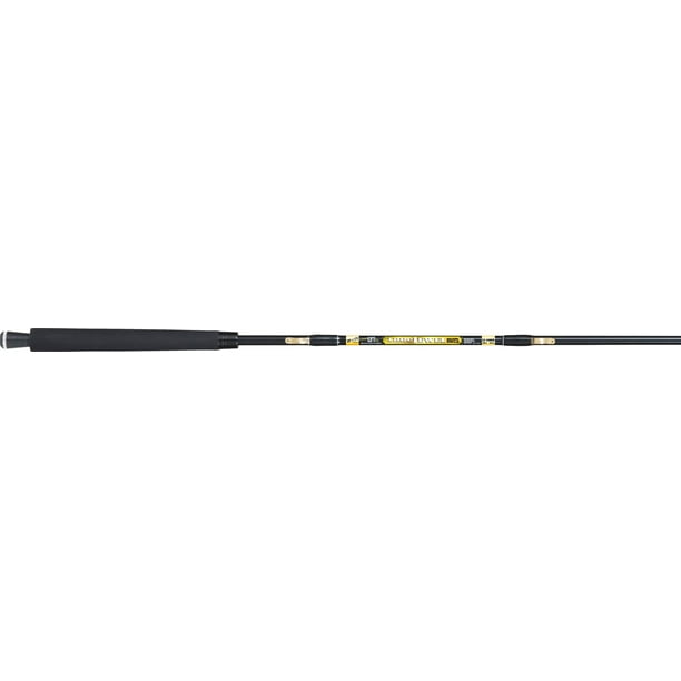 Cane Fishing Pole
