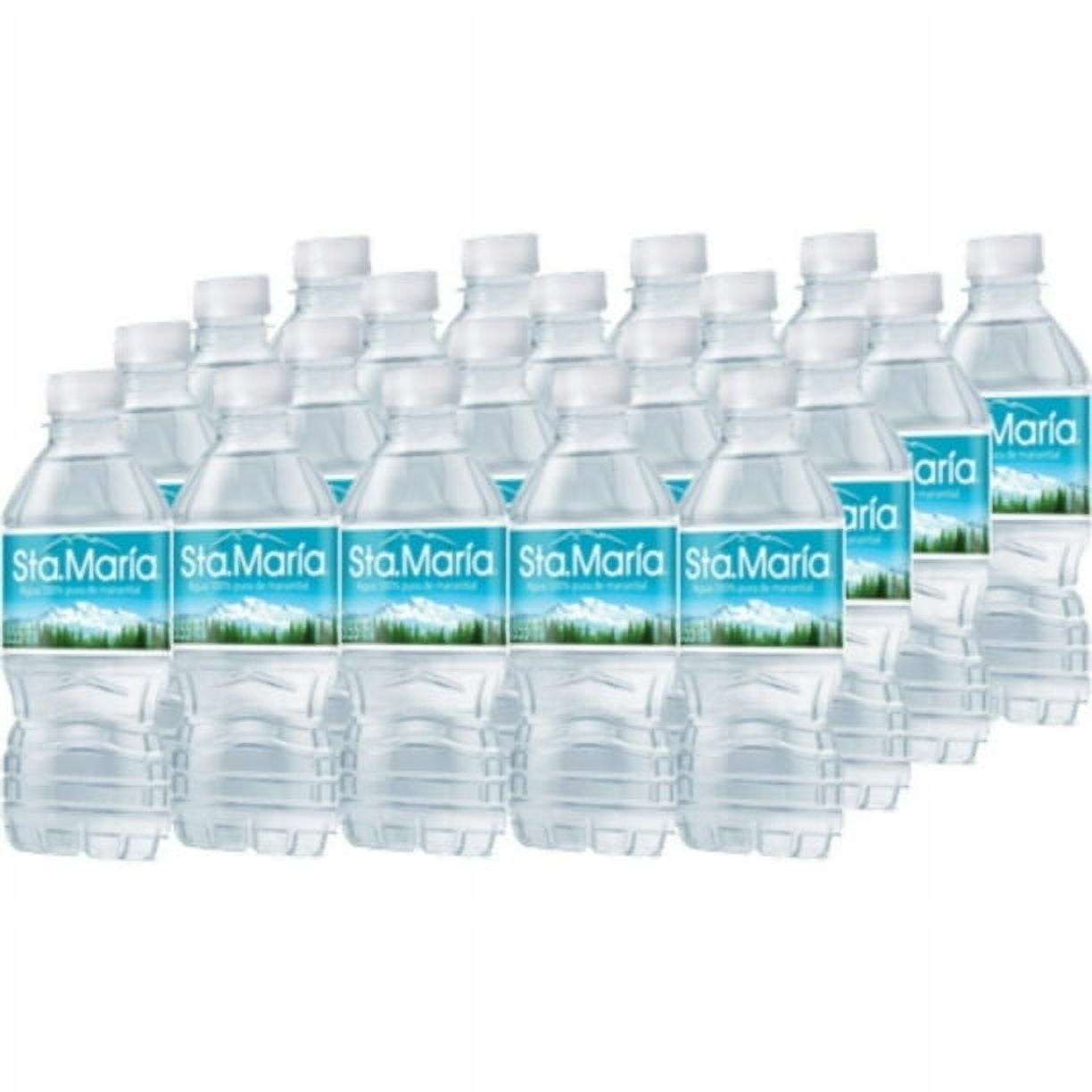 Pack de 24 Agua Santa María 355 ml | Walmart en línea