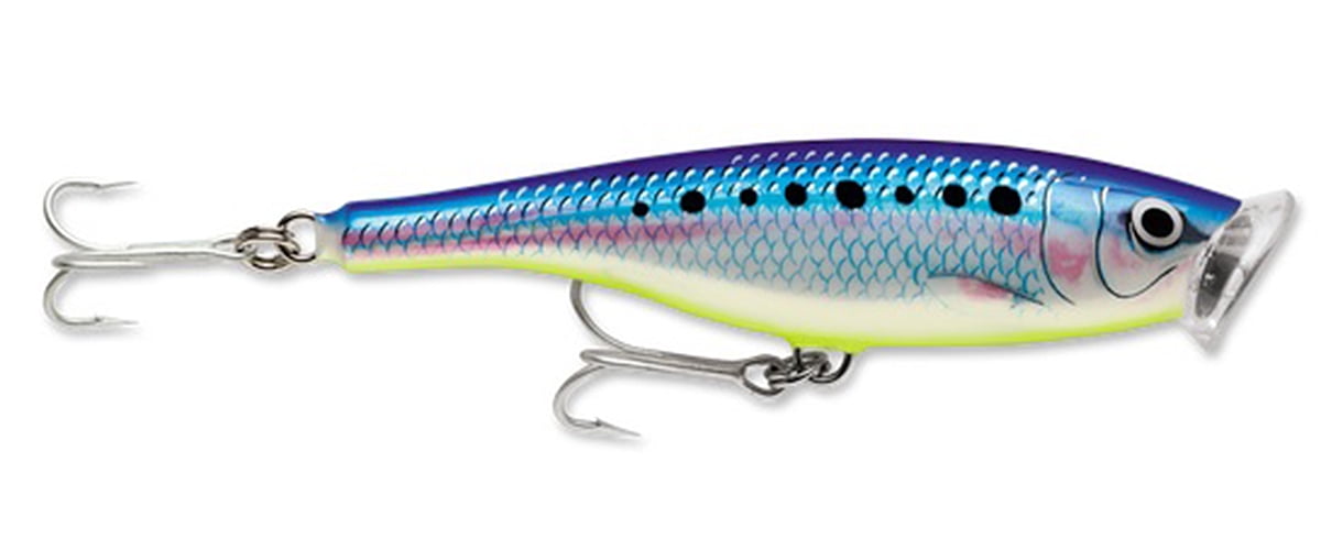 Rapala Saltwater Skitter Pop Topwater Fishing Lure 4.75" 1-7/16oz Blue ...