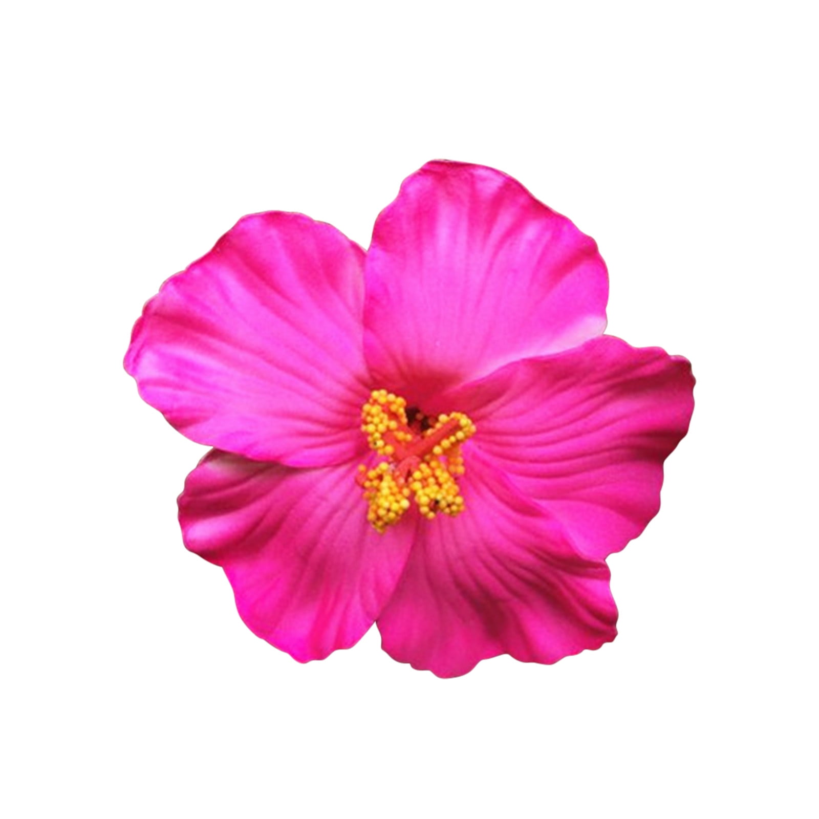 Click here for Earkity Hair Clips  Flowers Hair Clips For Women G... prices