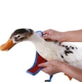 WINDLAND Pet Duck Rabbit Lead Harness Leash for Rabbit Call Duck Geese ...