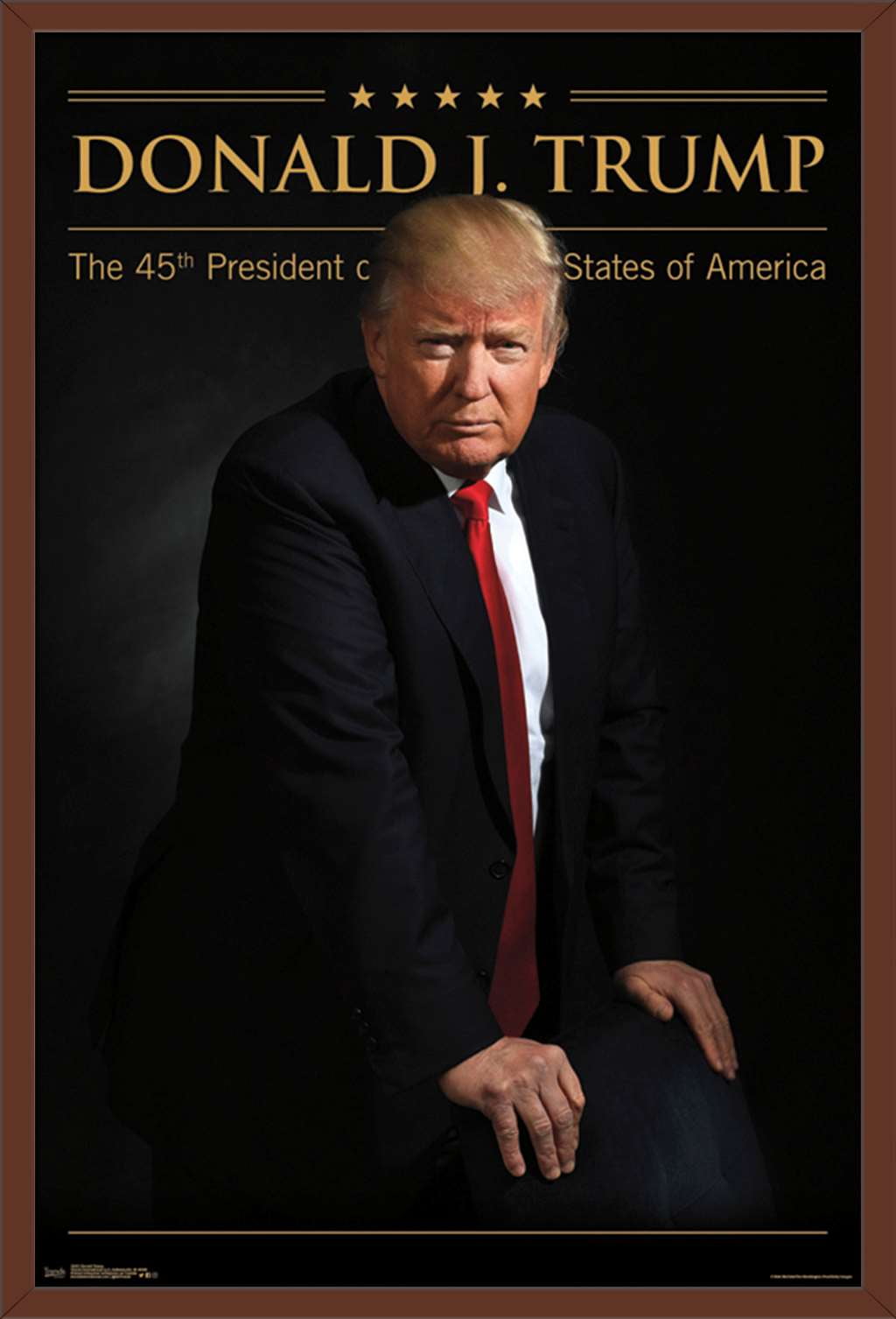 President Donald Trump Wall Poster, 22.375" x 34", Framed - Walmart.com