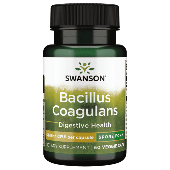 Buy Swanson Bacillus Coagulans - Probiotic Supplement Supporting ...