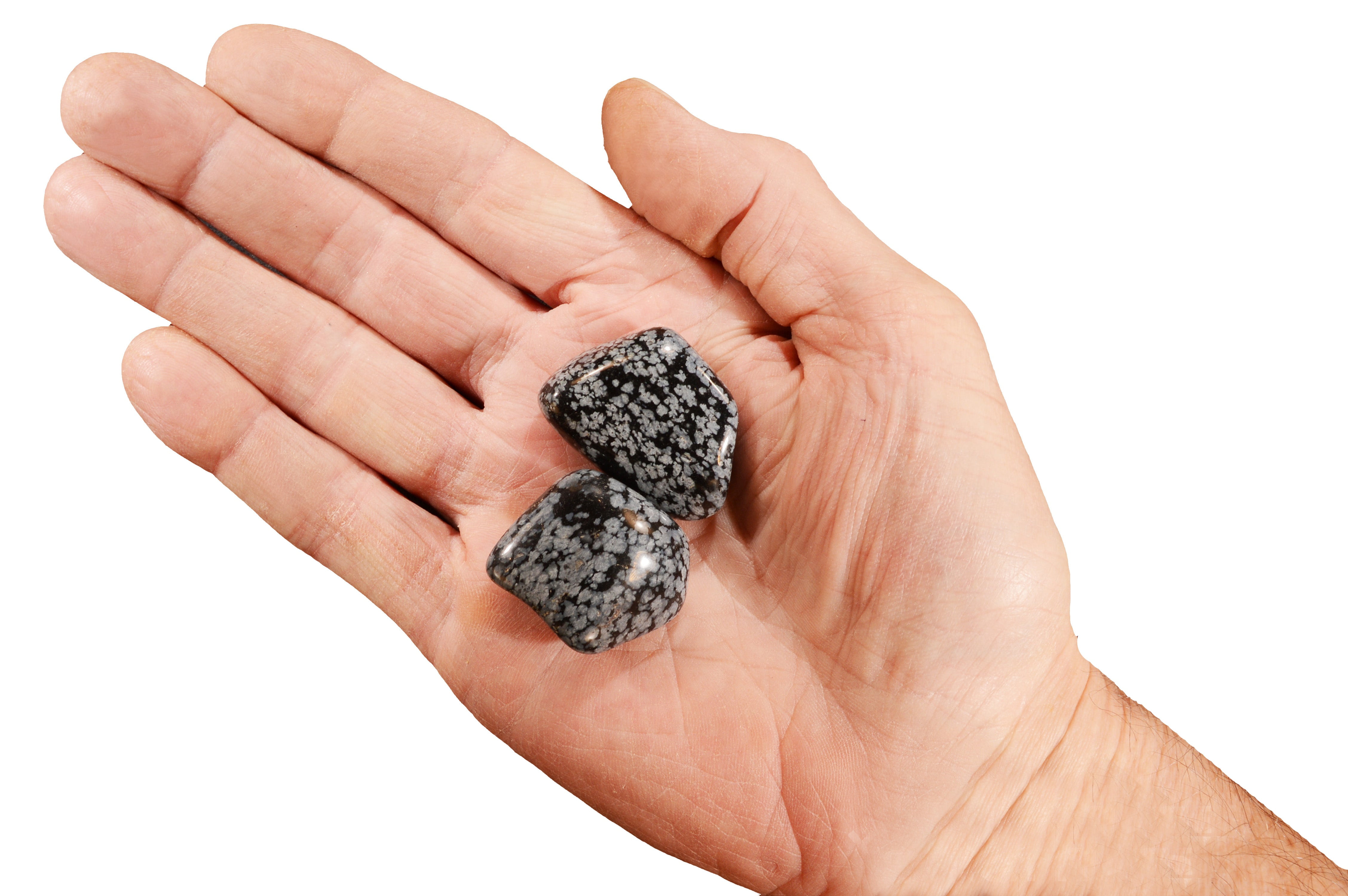 Kidz Rocks Snowflake Obsidian 1 1/4" 2 Piece Tumbled Rock Healing ...