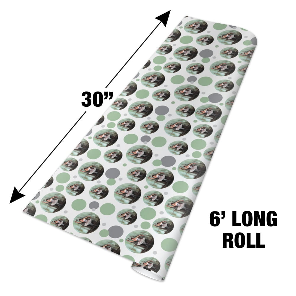 Ballerina Painting Premium Gift Wrap Wrapping Paper Roll – Beauty ...