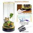 Vertical Insect Terrarium, Reptile Tank, for Tarantula Butterfly Larvae ...