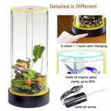 Vertical Insect Terrarium, Reptile Tank, for Tarantula Butterfly Larvae ...
