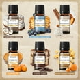 EUQEE 6PCS Premium Grade Fragrance Oils for Homemade Bread-10ml-Pumpkin Pie, Coconut Cream ...