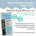 Water Works Permanent Powder Hair Color #23 Natural Dark Brown (6 Pack ...