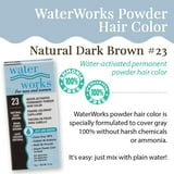 Water Works Permanent Powder Hair Color #23 Natural Dark Brown (6 Pack ...