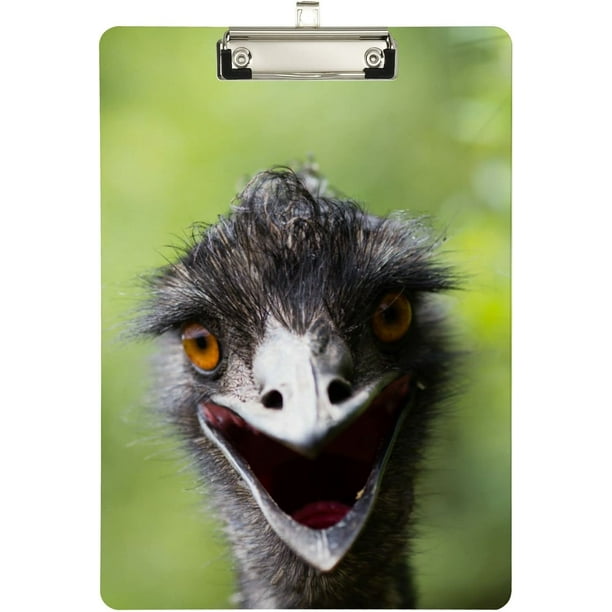 ZHANZZK Emu Fun Clipboard Hardboard Wood Nursing Clip Board and Pull ...