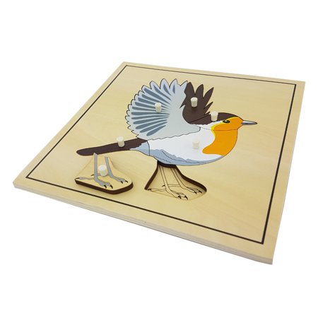 IFIT Montessori Bird Puzzle with Skeleton, Montessori Toys Zoology ...