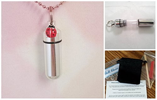 Lady Bug RED LADYBUG CREMATION URN with Laser Engraved HEART - Includes ...